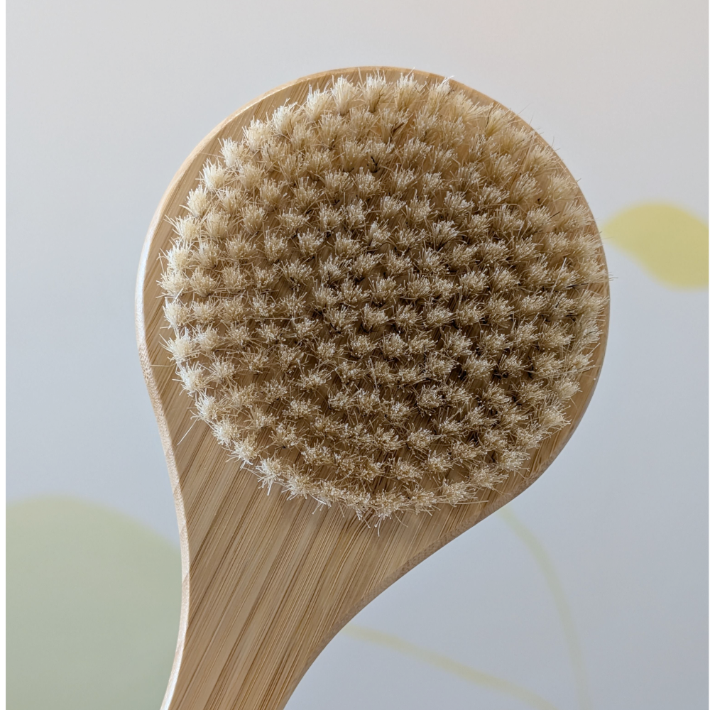 Long Bamboo Body & Back Brush – Living Pantry